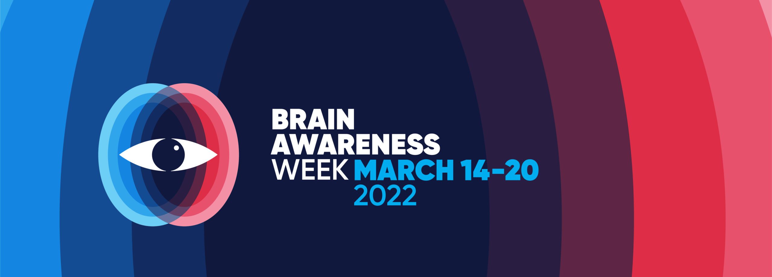 Brain Canada marks Brain Awareness Week with ‘Did you know?’ social ...