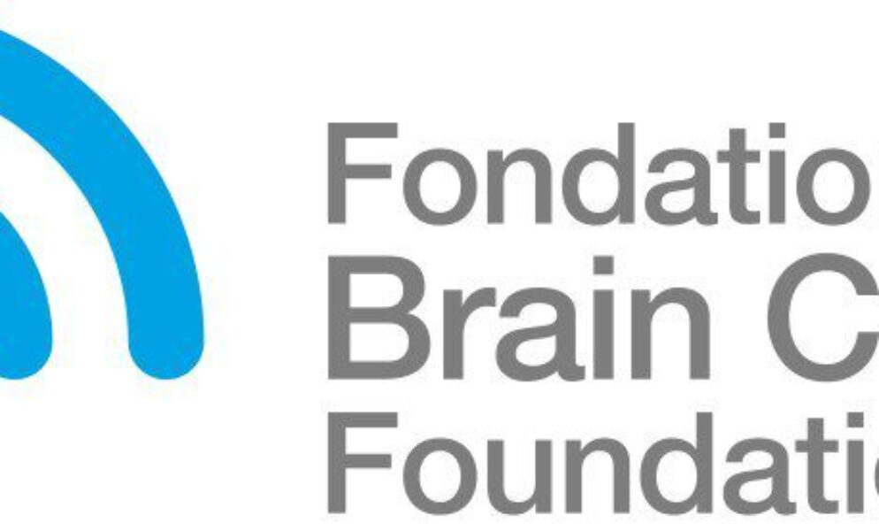 Notice of 2020 Future Leaders Funding Opportunity - Brain Canada Foundation