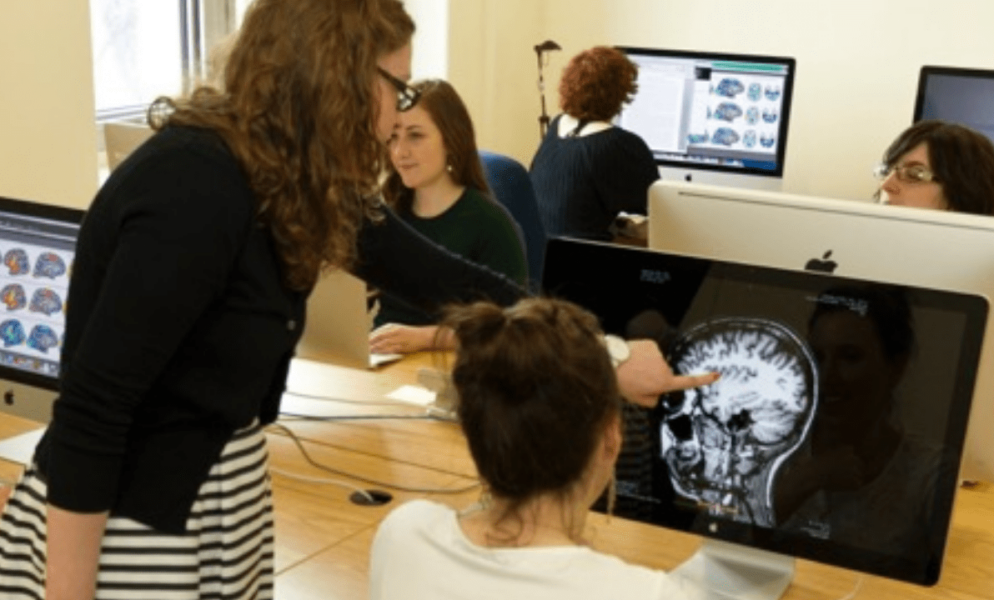 CINQ - Brain Imaging Ecosystem in Quebec - Brain Canada Foundation