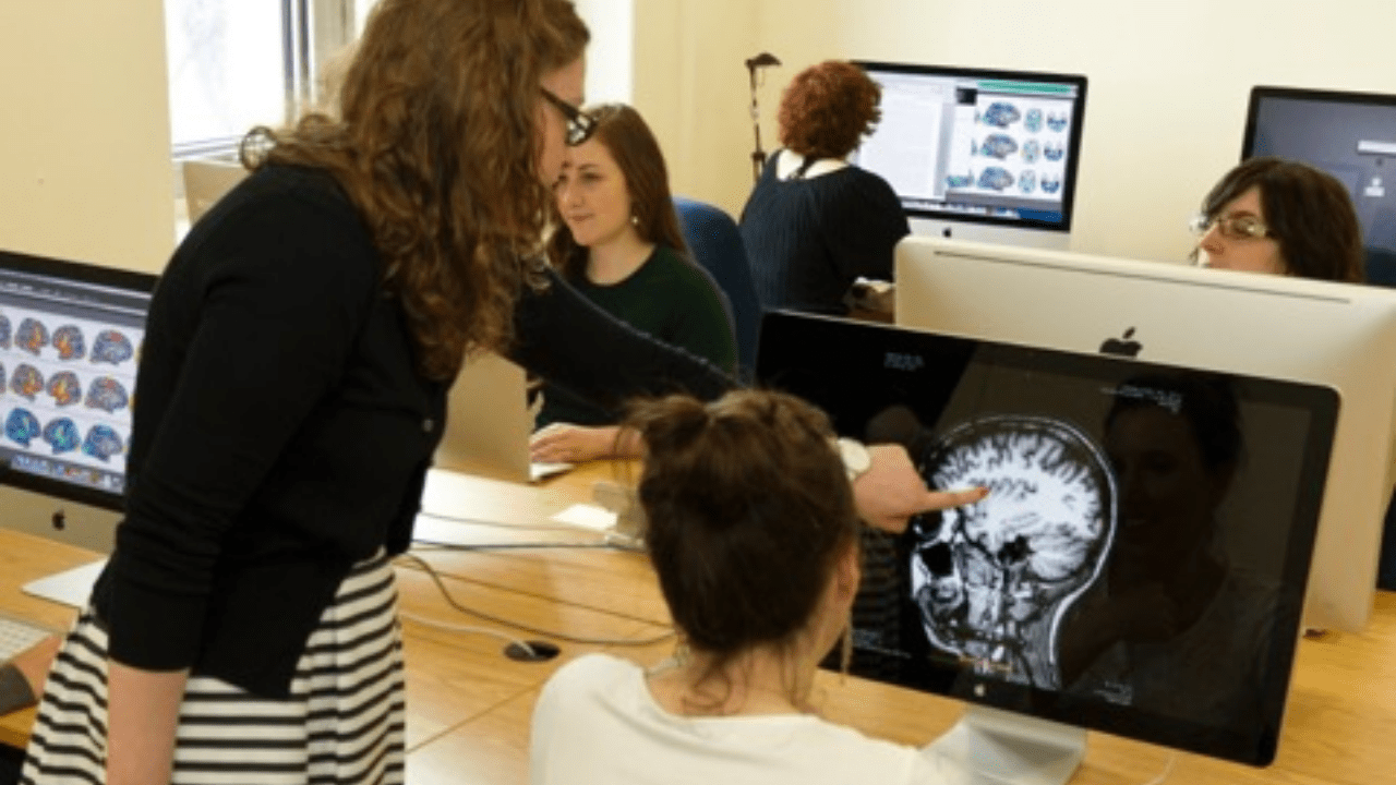 CINQ - Brain Imaging Ecosystem in Quebec - Brain Canada Foundation