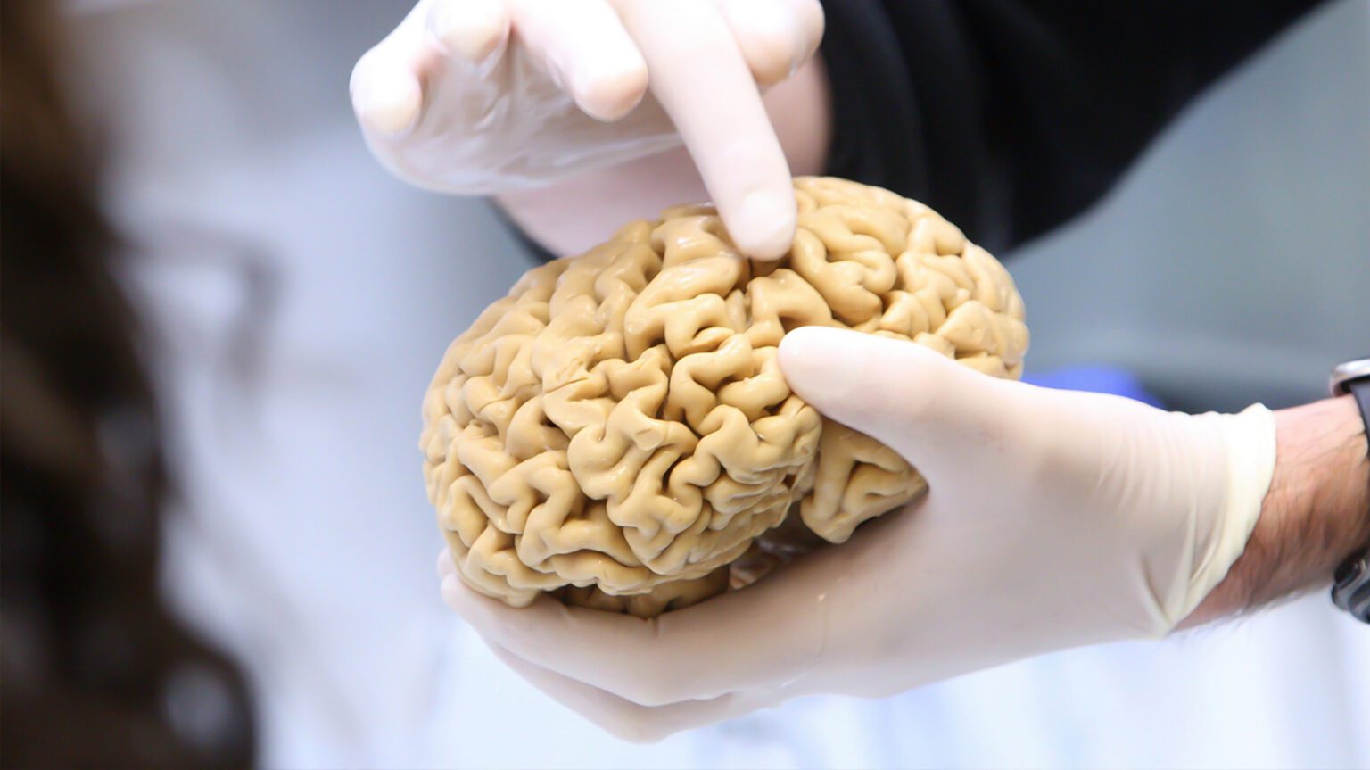 One Brain - Brain Canada Foundation