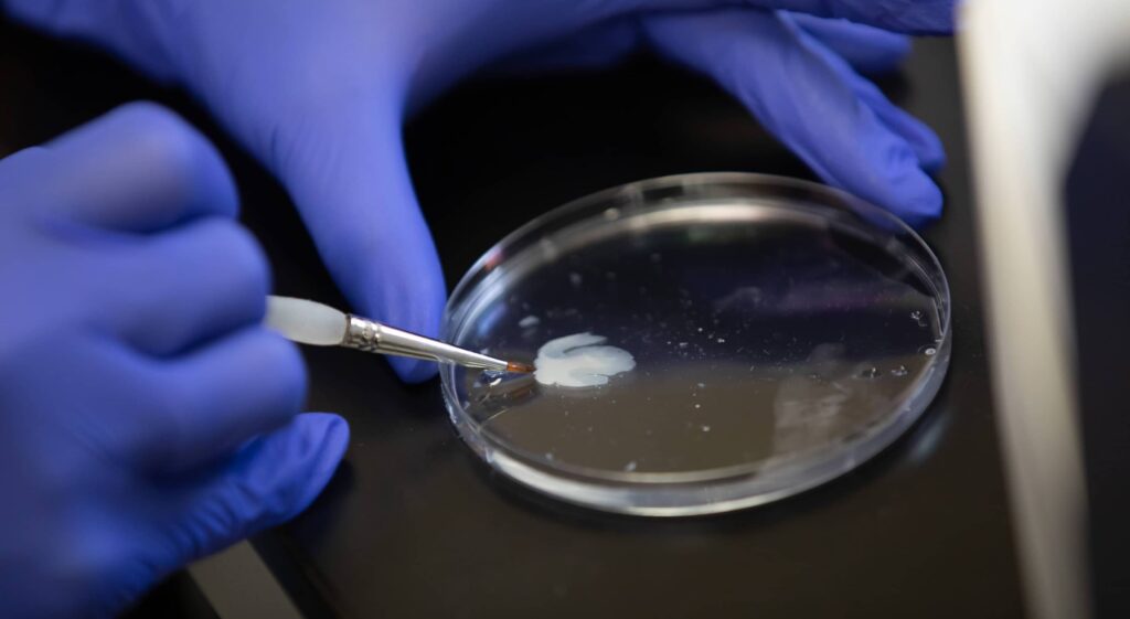 Brain Health - Brain Canada Foundation - Home