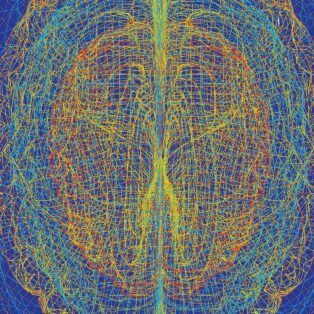 Brain Canada - Donate to support bold science for brain health