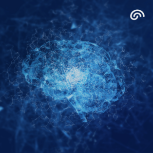 Brain Canada - Donate to support bold science for brain health